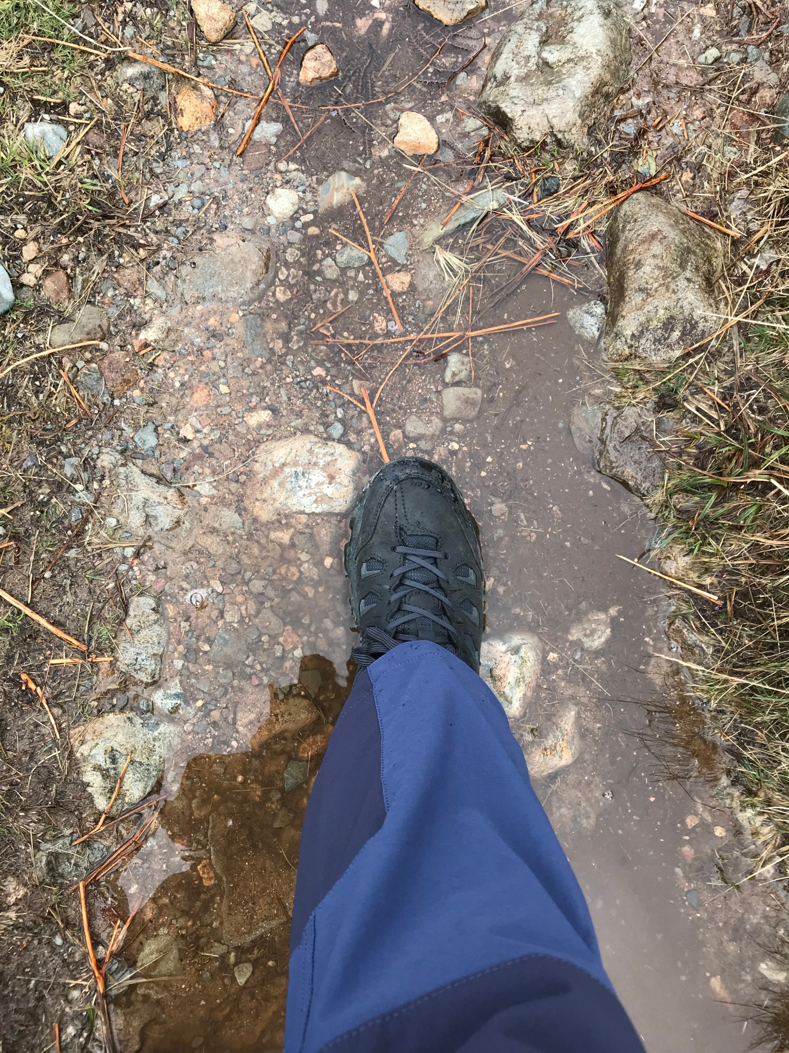 Oboz Sawtooth X Mid Review 2023 – Climbing Gear Reviews